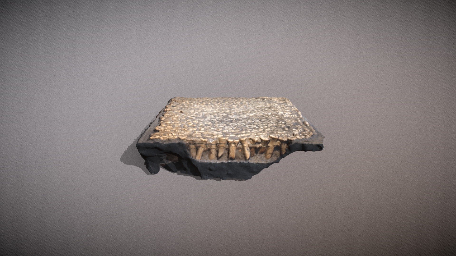 Bone Pavement - Download Free 3D model by Benjamin Hall; MOX x DAR's ...