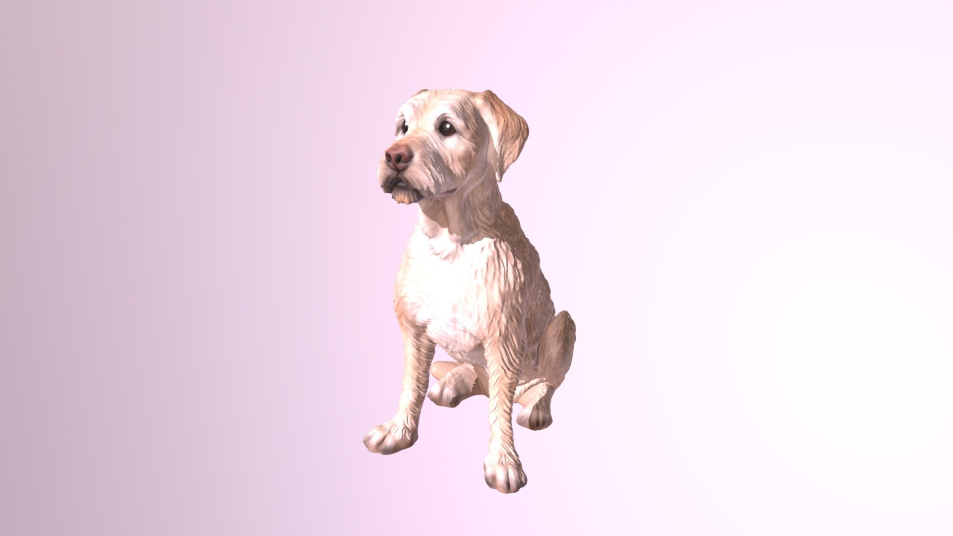 1810000- Georgie- Labradoodle - 3D model by Arty Lobster - Pet ...