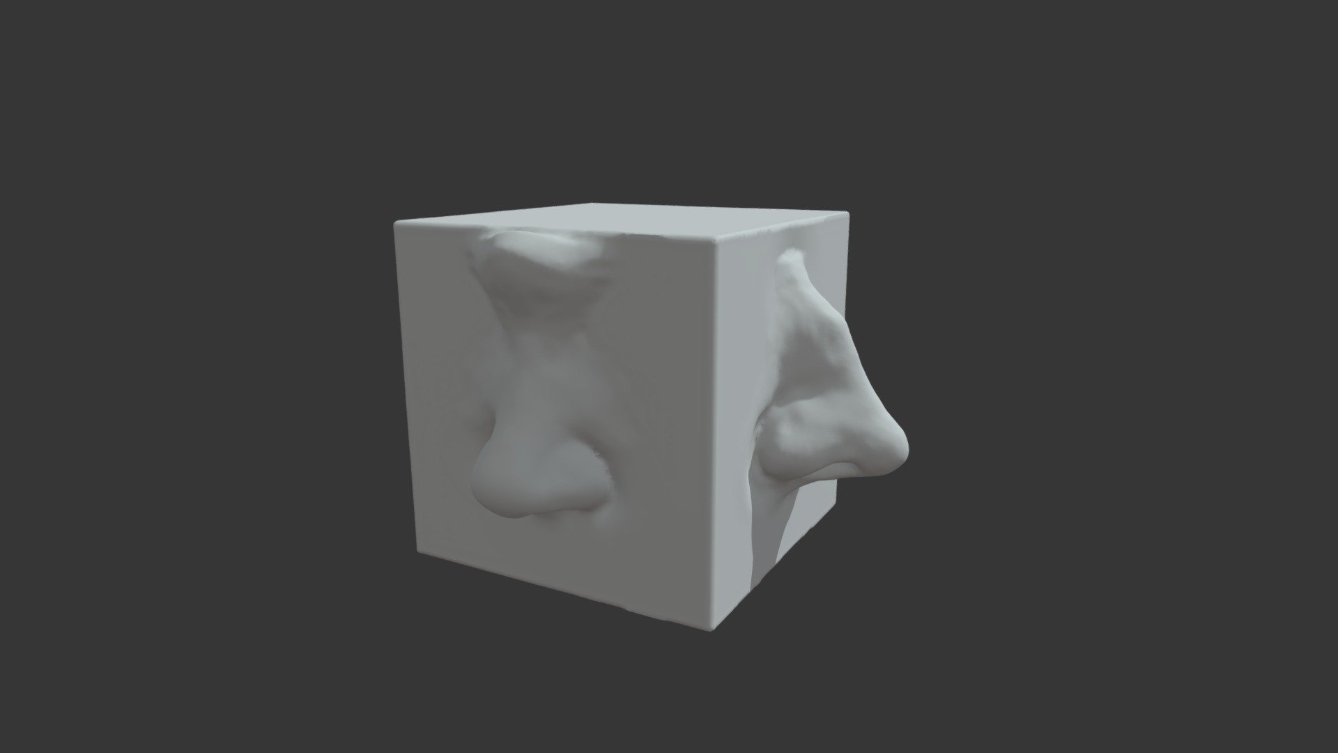 Nose Cube - Download Free 3D model by Isabelle "Ibby" B (@ibby_the ...