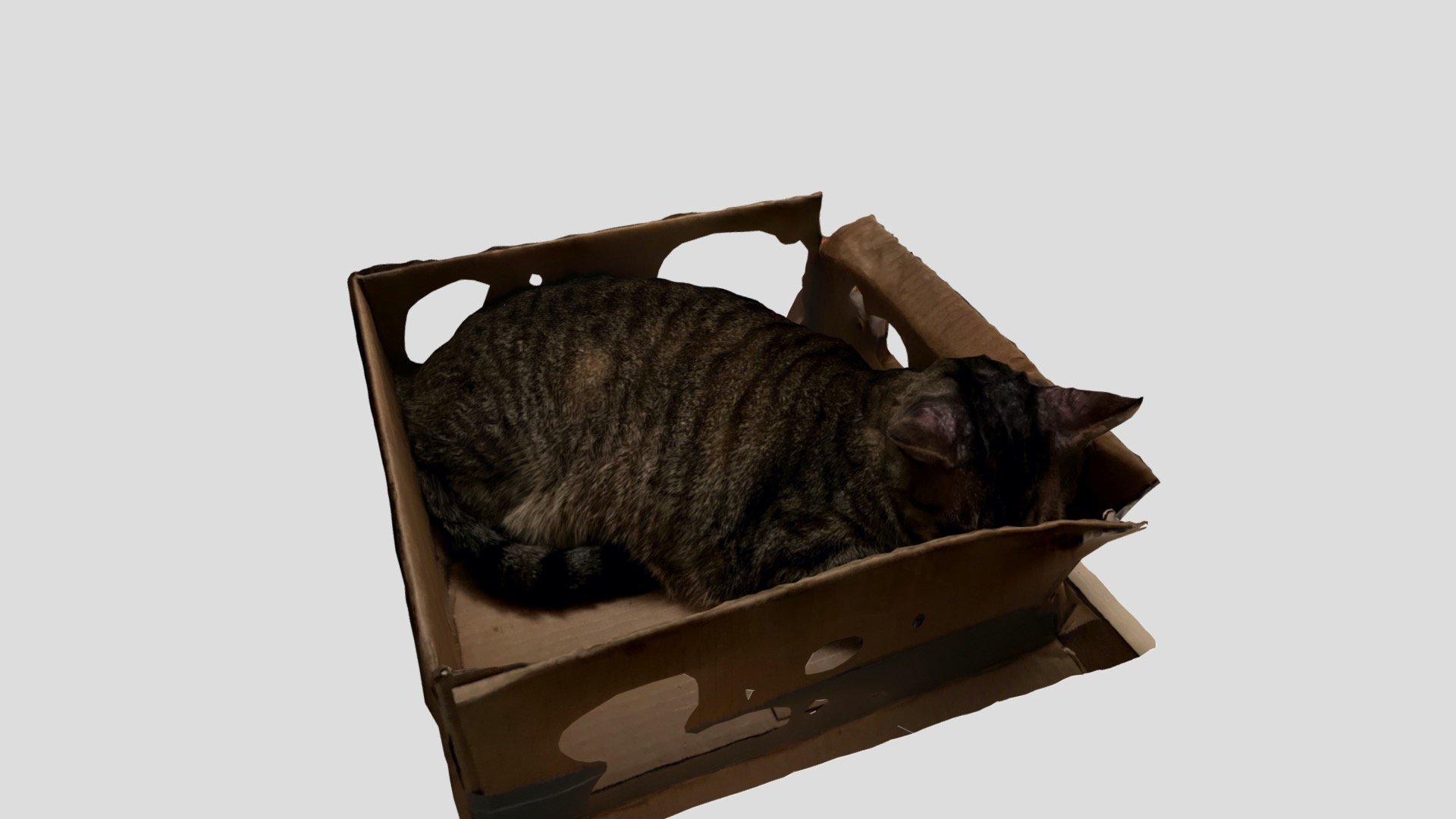 Buster Box 1 - 3D model by Parrish Industries (@joshaudio) [24a82f6 ...