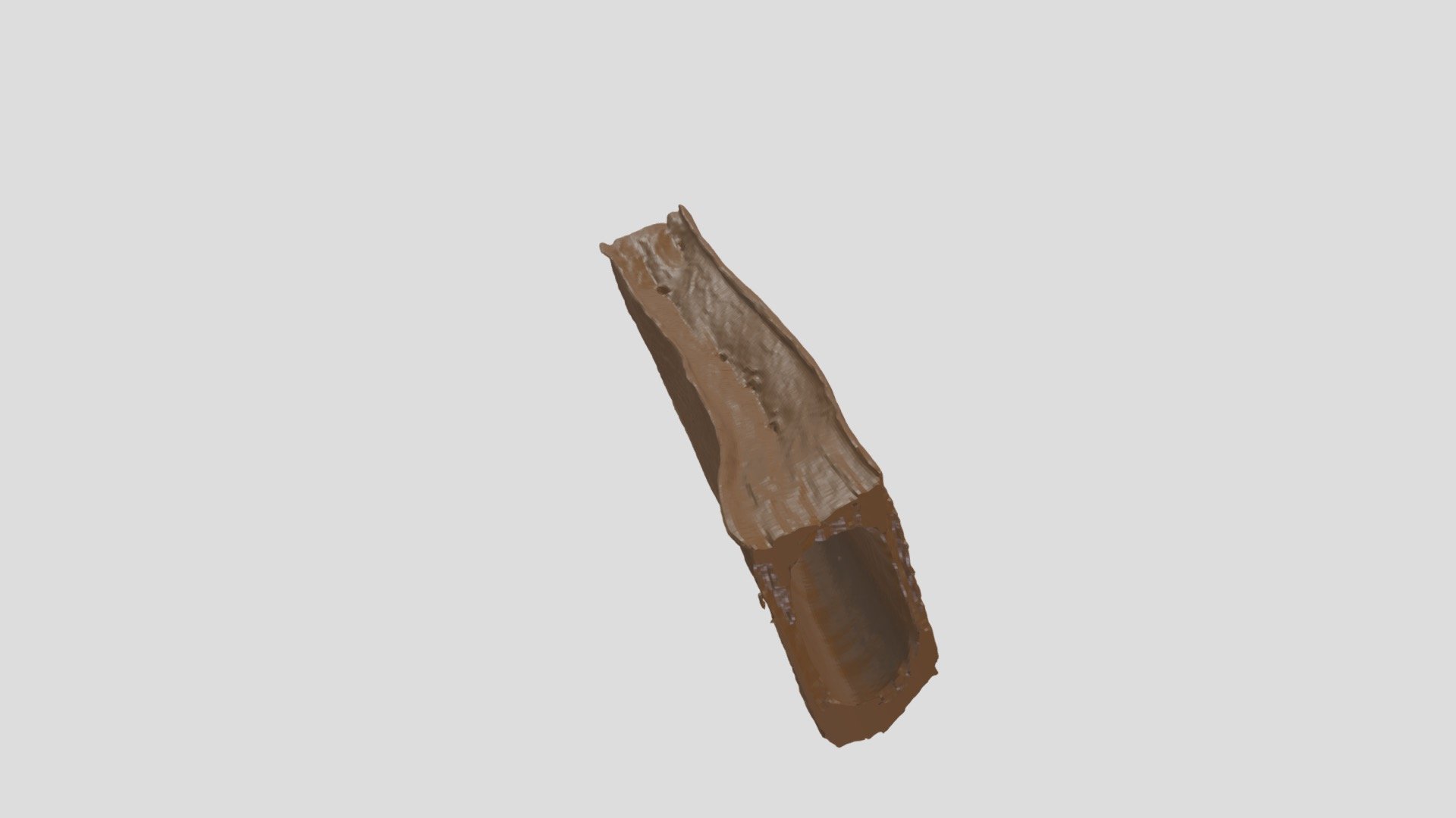 Beech-1-single-fiber - 3D model by helen.gorges [24ae48d] - Sketchfab