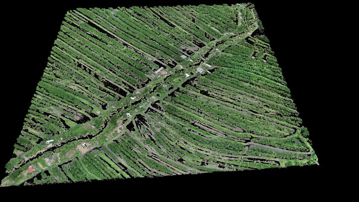 Mangrove 3D models - Sketchfab