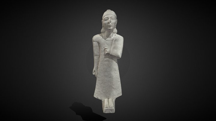 Chiton 3D models - Sketchfab