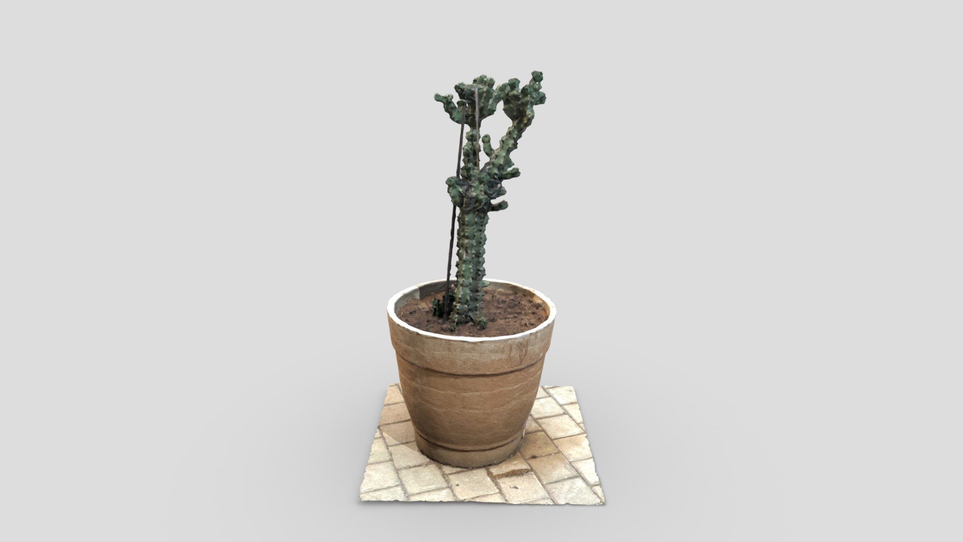Cactus Pot - 3D model by Lior Azi (@liorazi) [24c48b0] - Sketchfab