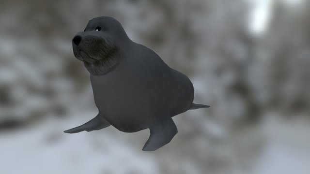Foca 3D models - Sketchfab