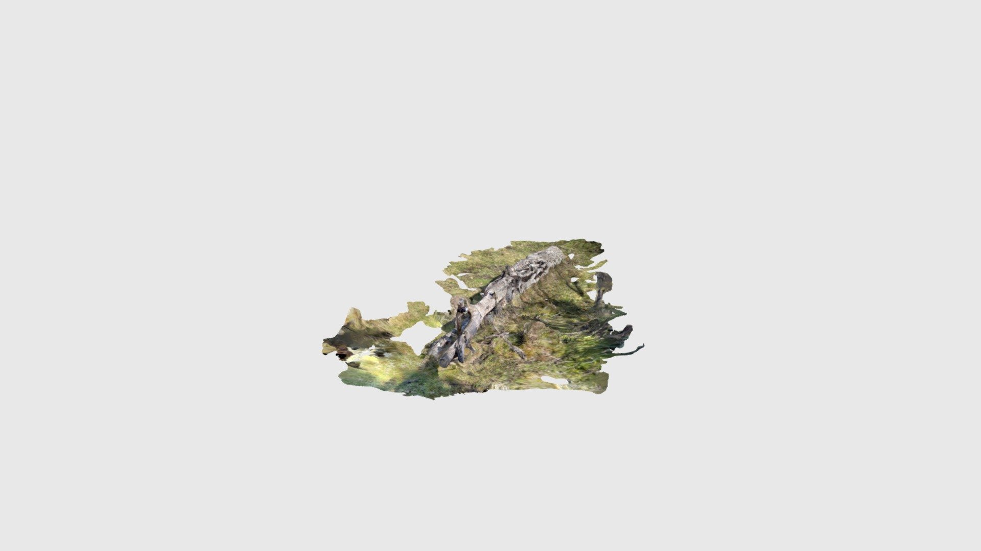 Log life - Download Free 3D model by Tricia.Ann.Stewart [24c9e4a ...