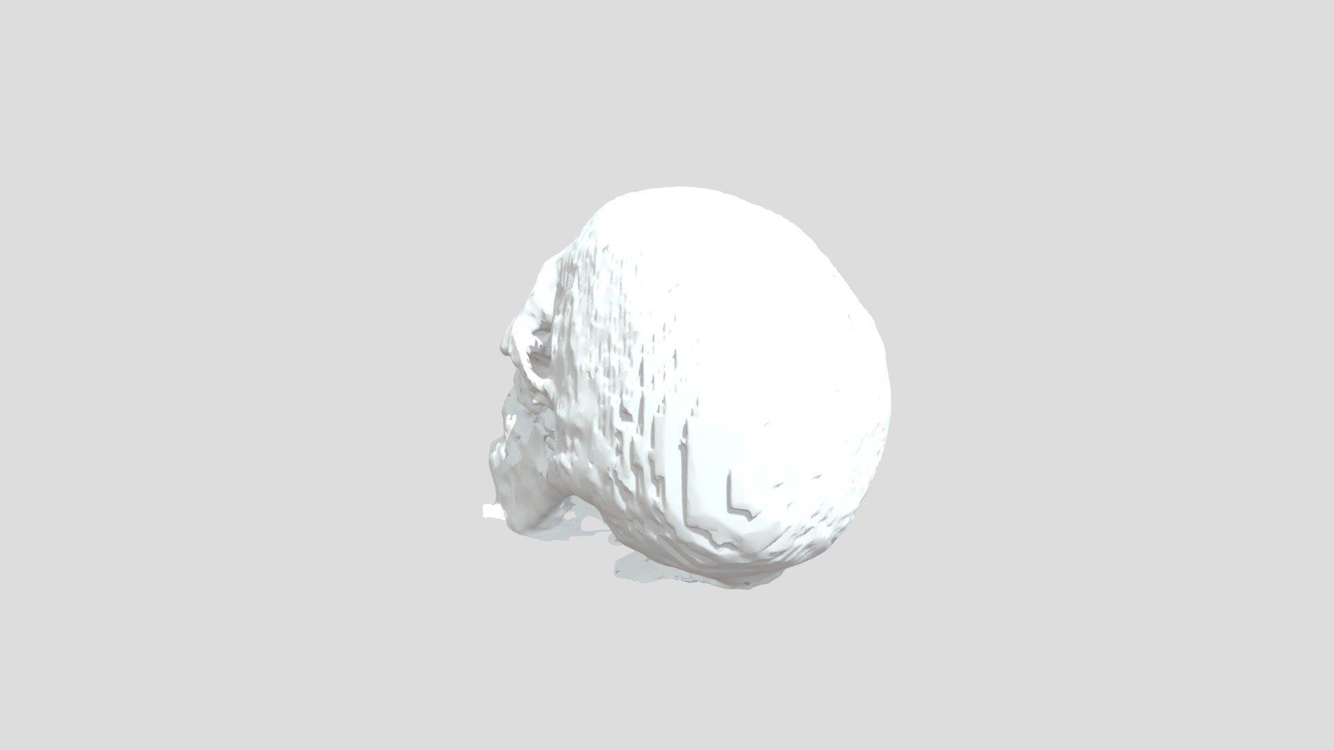 Skull 01 - Workshop VR Hang Tuah - 3D model by tarmud [24cb6e6] - Sketchfab