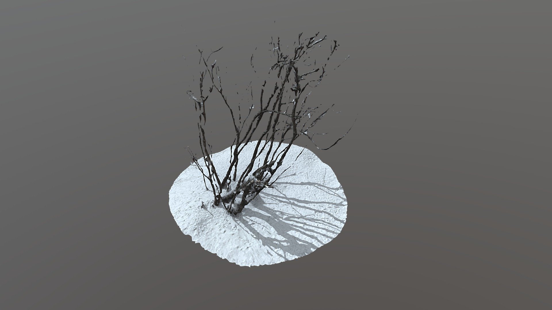 Snow bush - Download Free 3D model by Neo_minigan (@neominigan ...