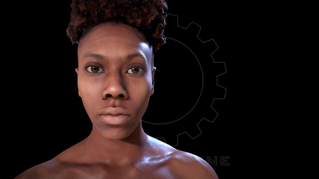 restricted - A 3D model collection by 3Dmod - Sketchfab