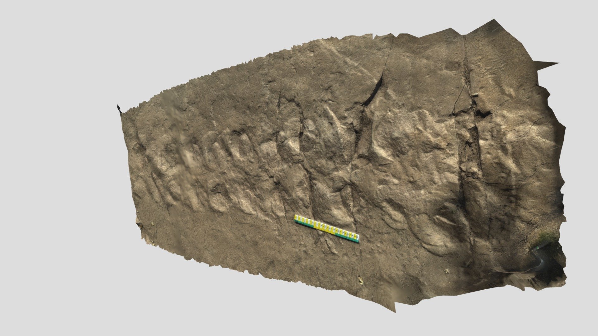 Cutties Hillock Permian stem-mammal trackway - 3D model by DaveL ...