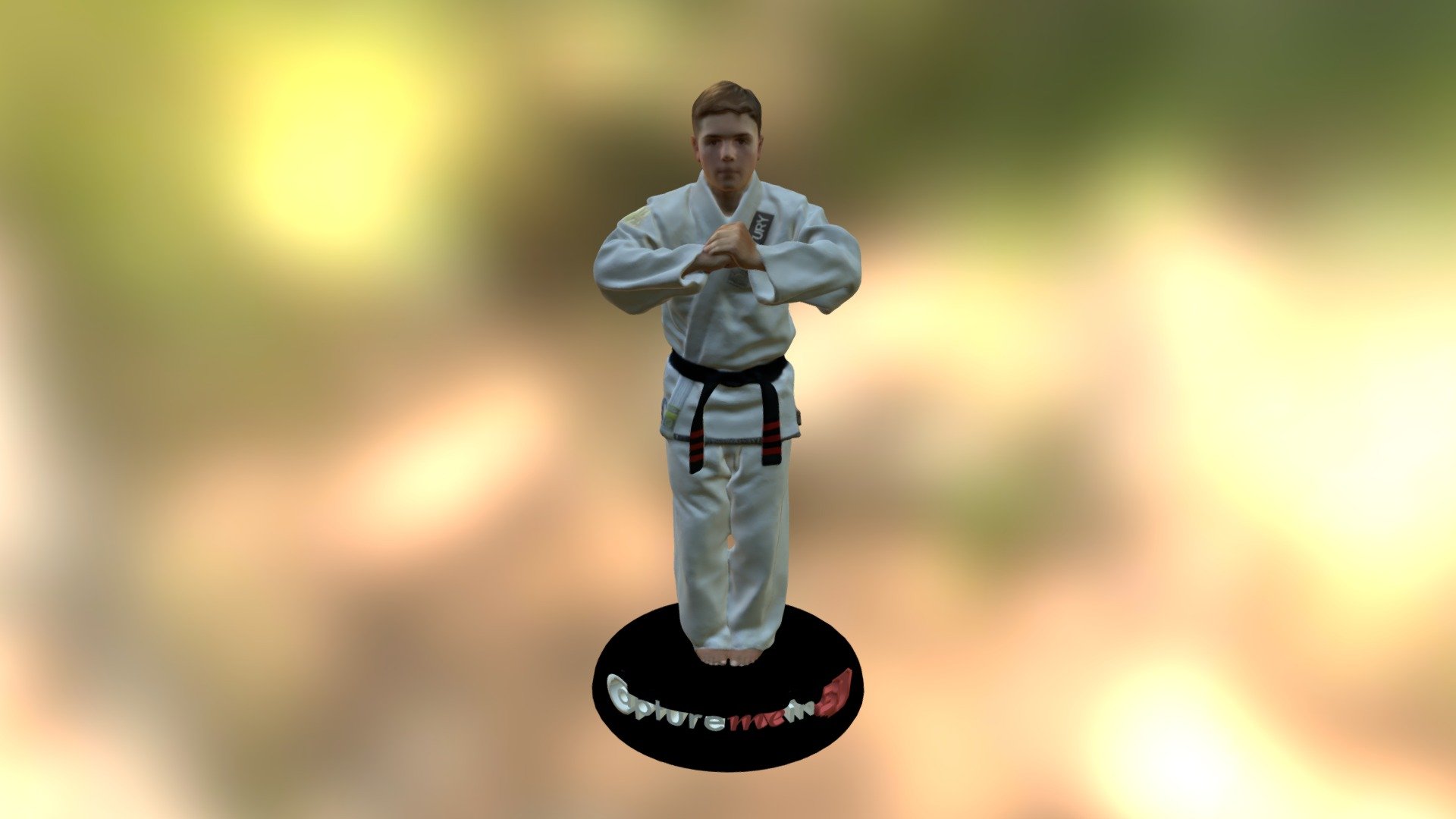 KARATE STEVE - 3D model by Capture It In 3D (@CaptureMeIn3D) [24eba63 ...