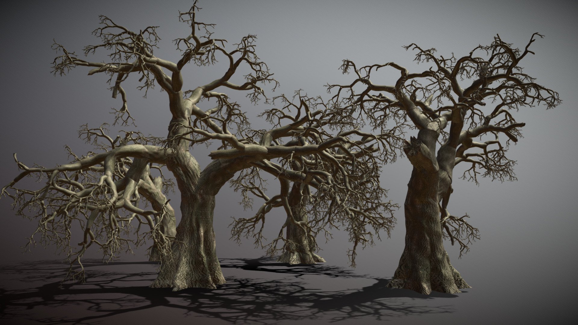 4 Oaks Pack (very high-Poly) - Download Free 3D model by Sereib ...
