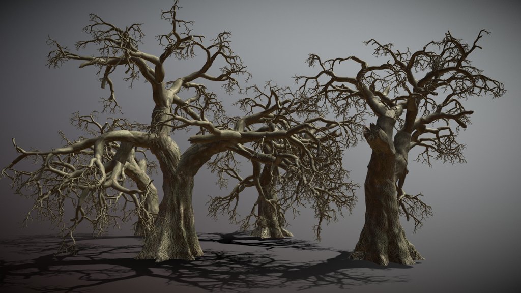 trees - A 3D model collection by lohaller - Sketchfab