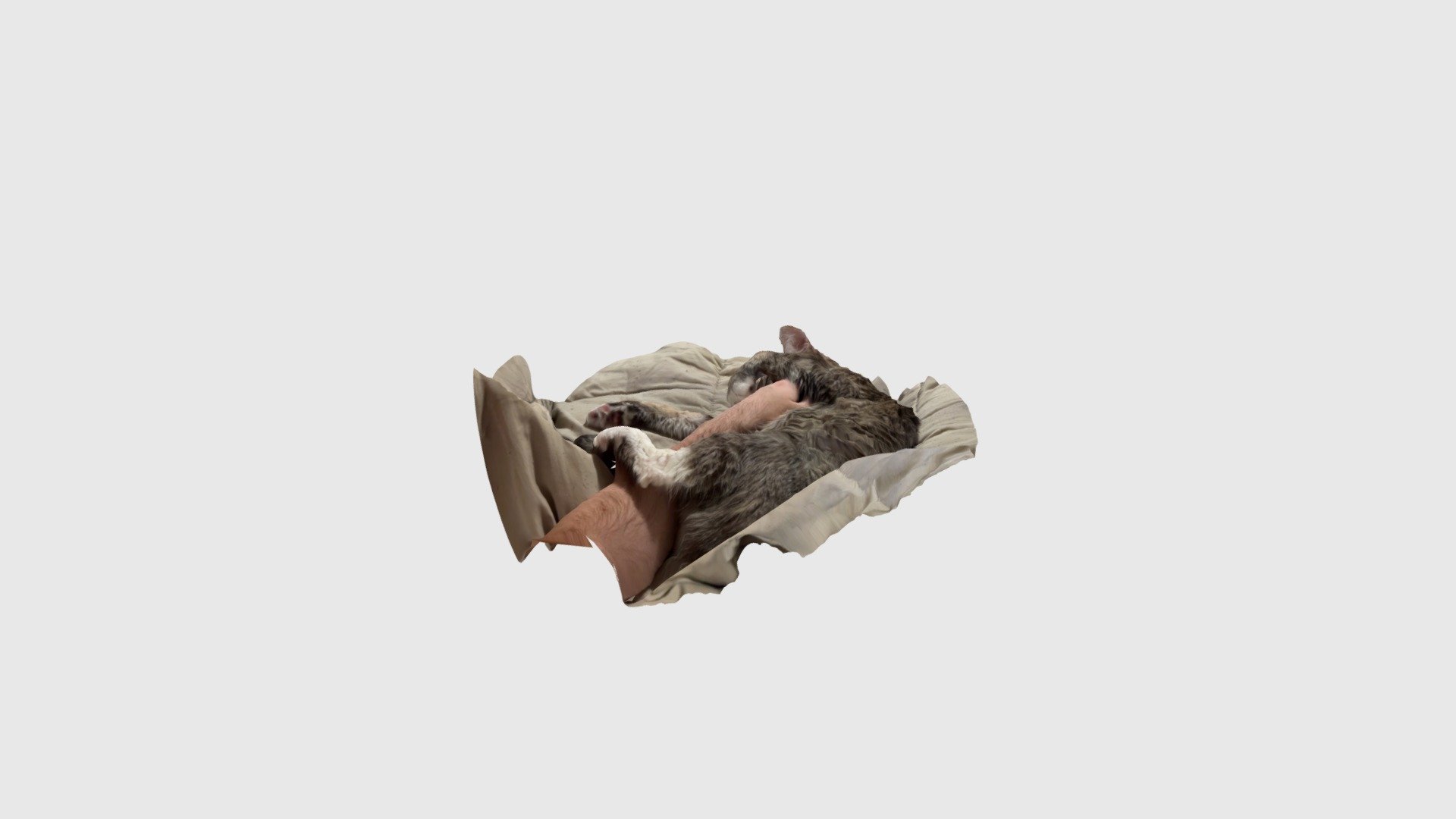 Gabe 2 - Download Free 3D model by noktluno [250ab58] - Sketchfab