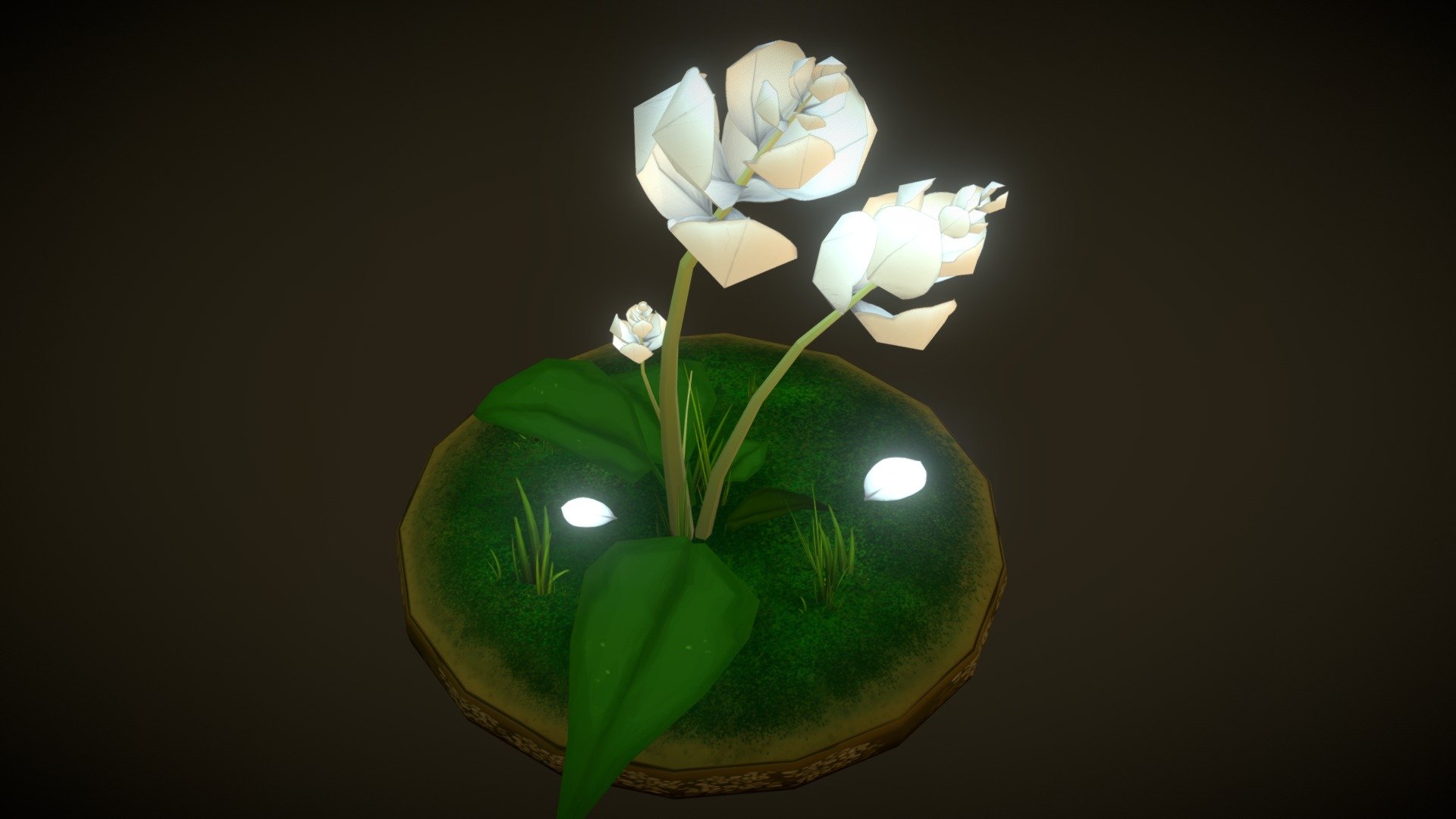 Night Bloom - Buy Royalty Free 3D model by LizG (@LizG5) [250c2c9 ...