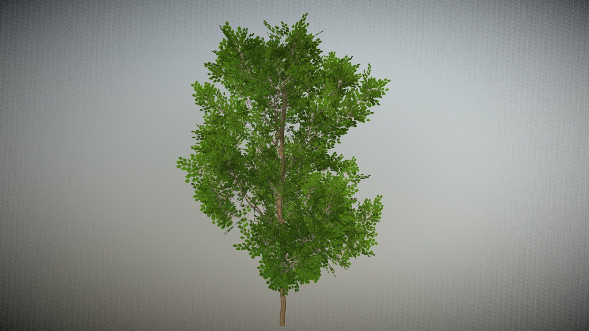 Real Tree Models - Download Free 3D model by Mega Tree (@MegaTree ...
