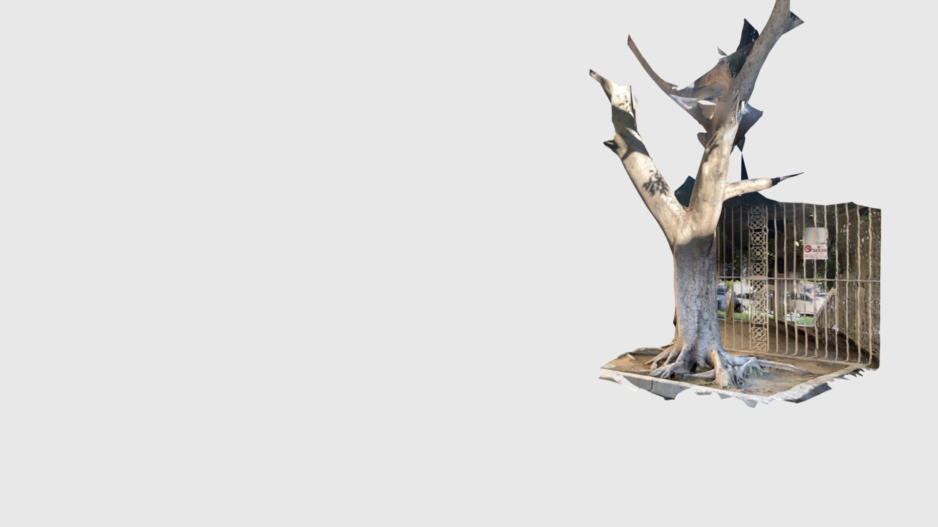 Scaniverse : Tree - Download Free 3D model by satishgoda [252bab4 ...