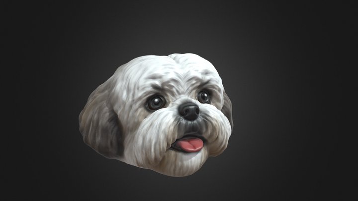 Shih-tzu 3D models - Sketchfab