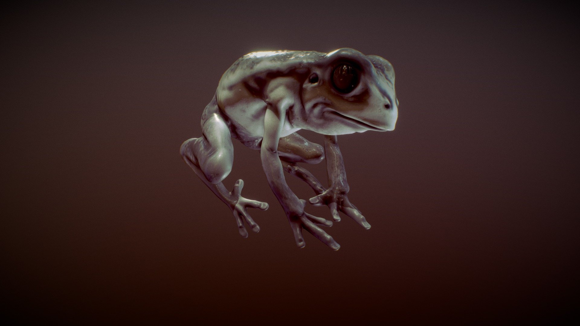 Frog - 3D model by Garry.Samuel.Donzelli.Gray [252fa74] - Sketchfab
