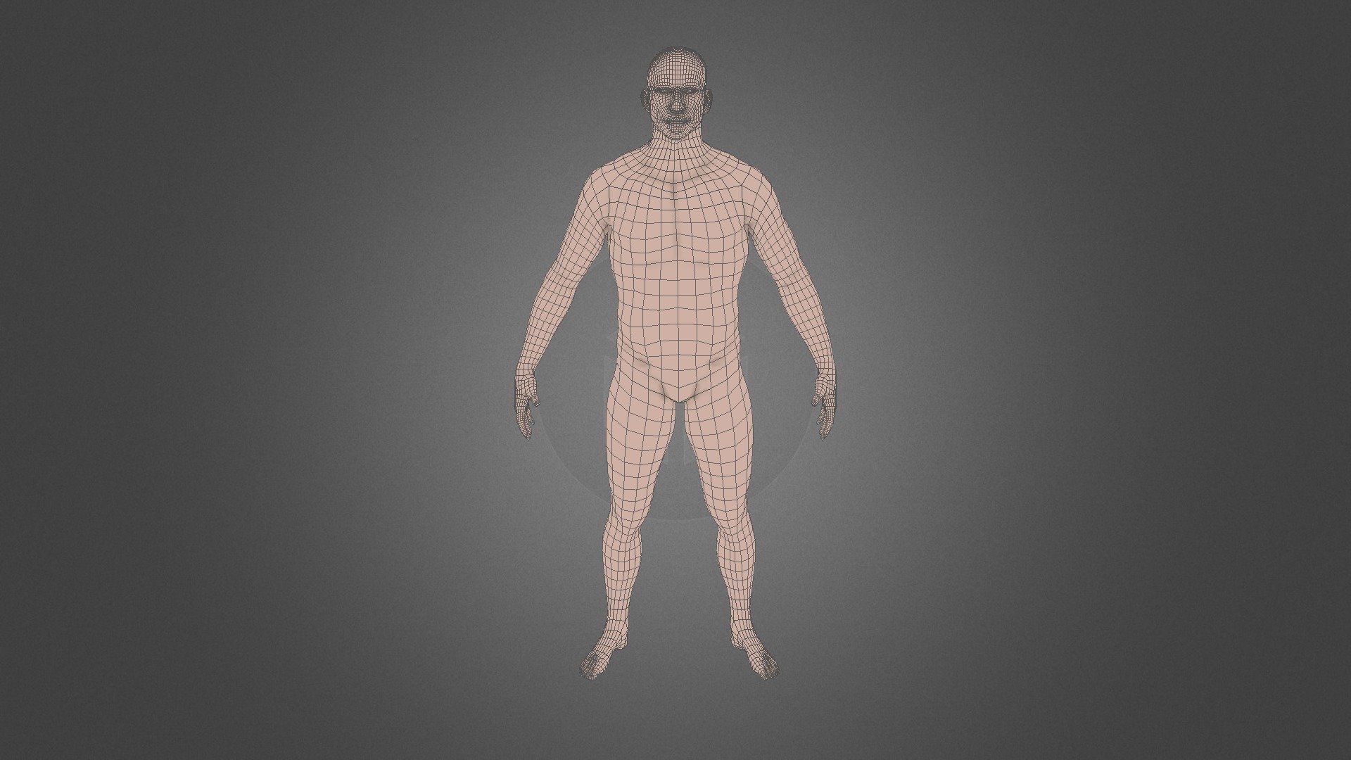 ANATOMY | Human Base Mesh - 3D model by Angela Lozano (@AngelaL ...