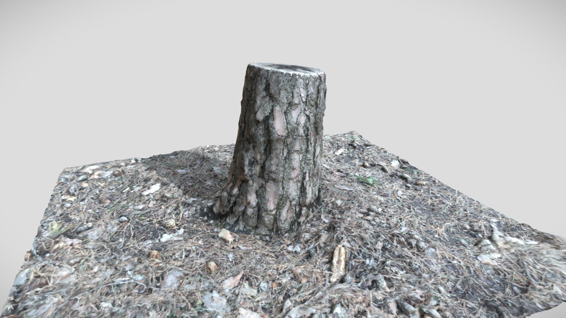 Stump - Download Free 3D model by Lena S (@LindaMor) [253f307] - Sketchfab