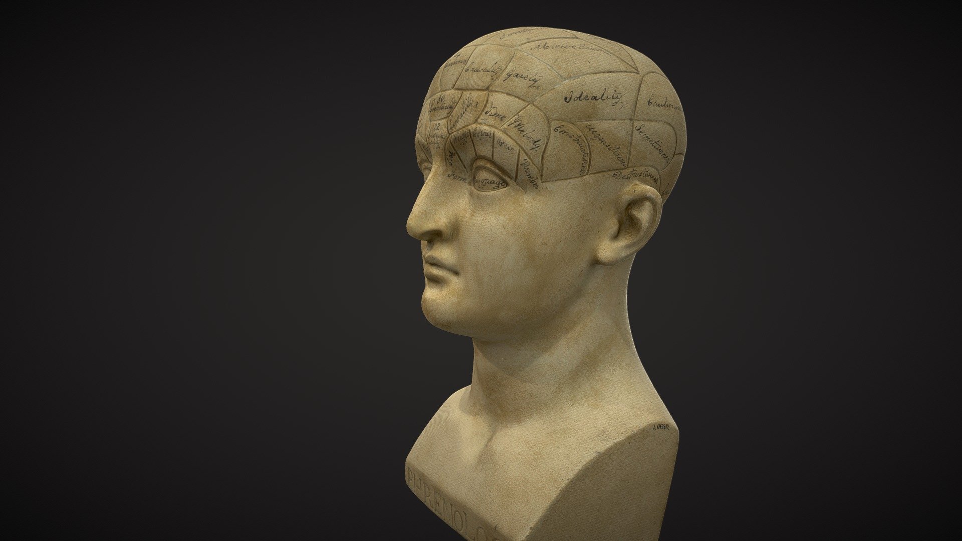 Phrenological bust - Science Museum London - 3D model by Cyreal.com ...