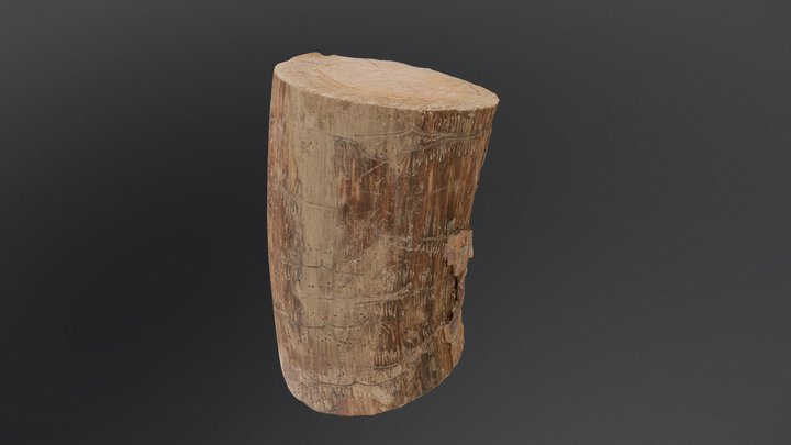 Firewood 3D models - Sketchfab