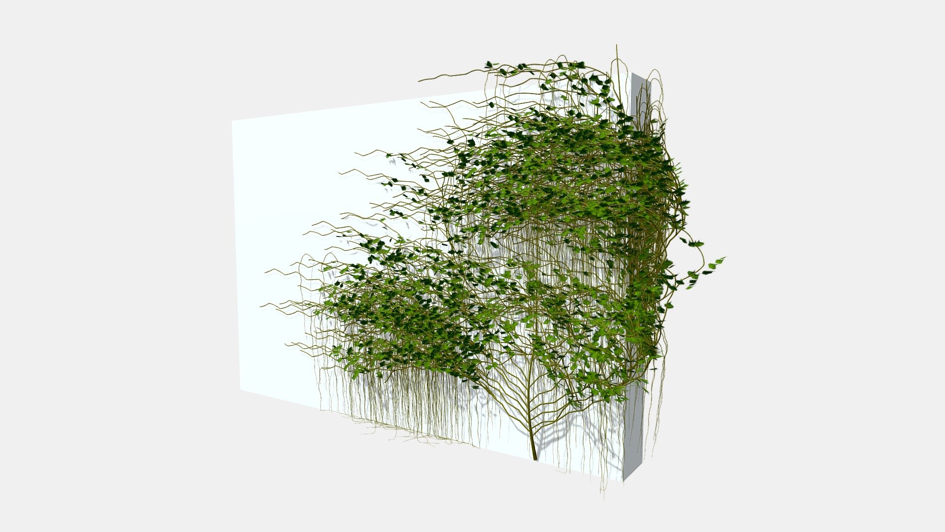 Ivy Pack - Buy Royalty Free 3D model by Noonckat [254b1c1] - Sketchfab ...