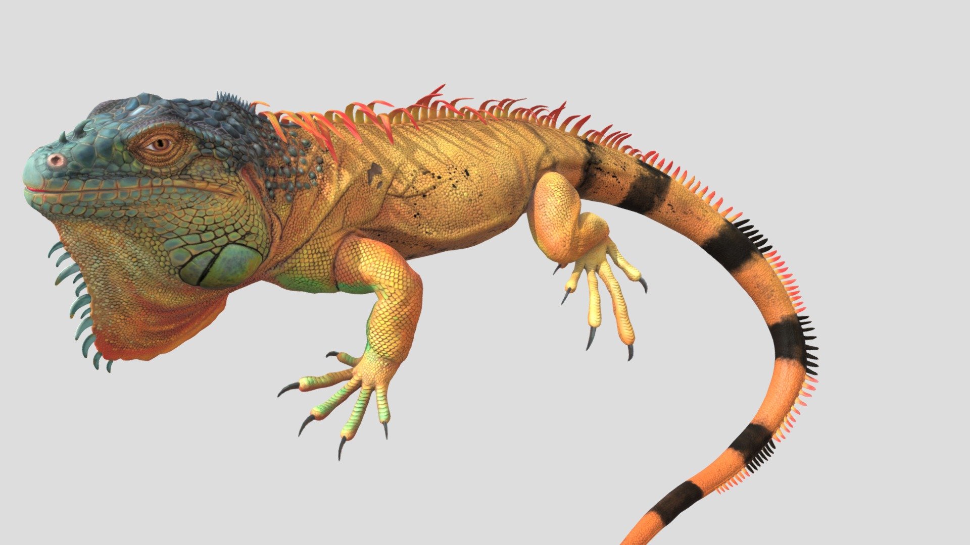 organic form - 3D model by organic-form [25508cf] - Sketchfab