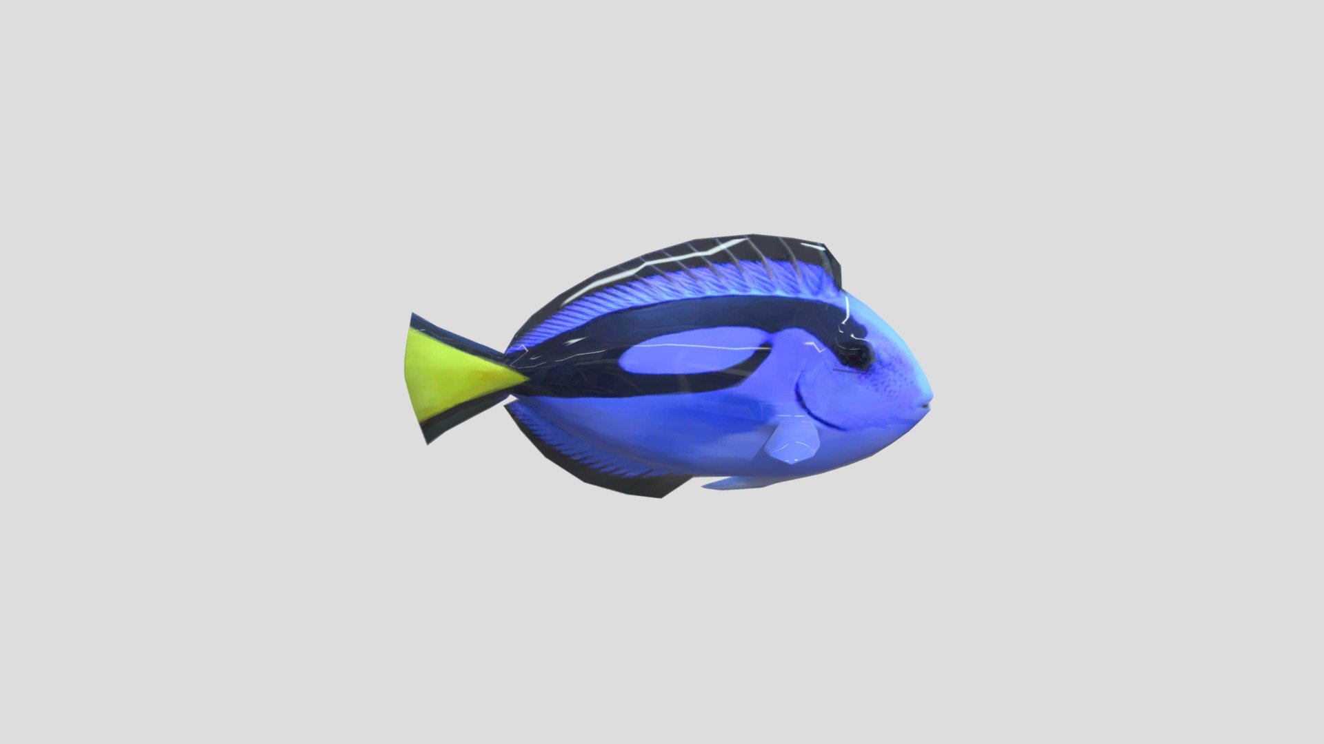 Tropical Fish - Download Free 3D model by House Doctor (@chin4grci4 ...