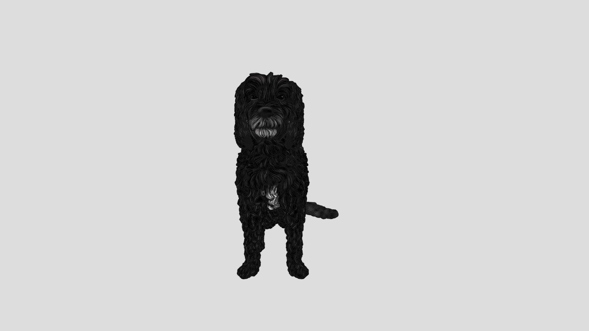Tucker 2 - 3D model by holodeck3d [2561282] - Sketchfab