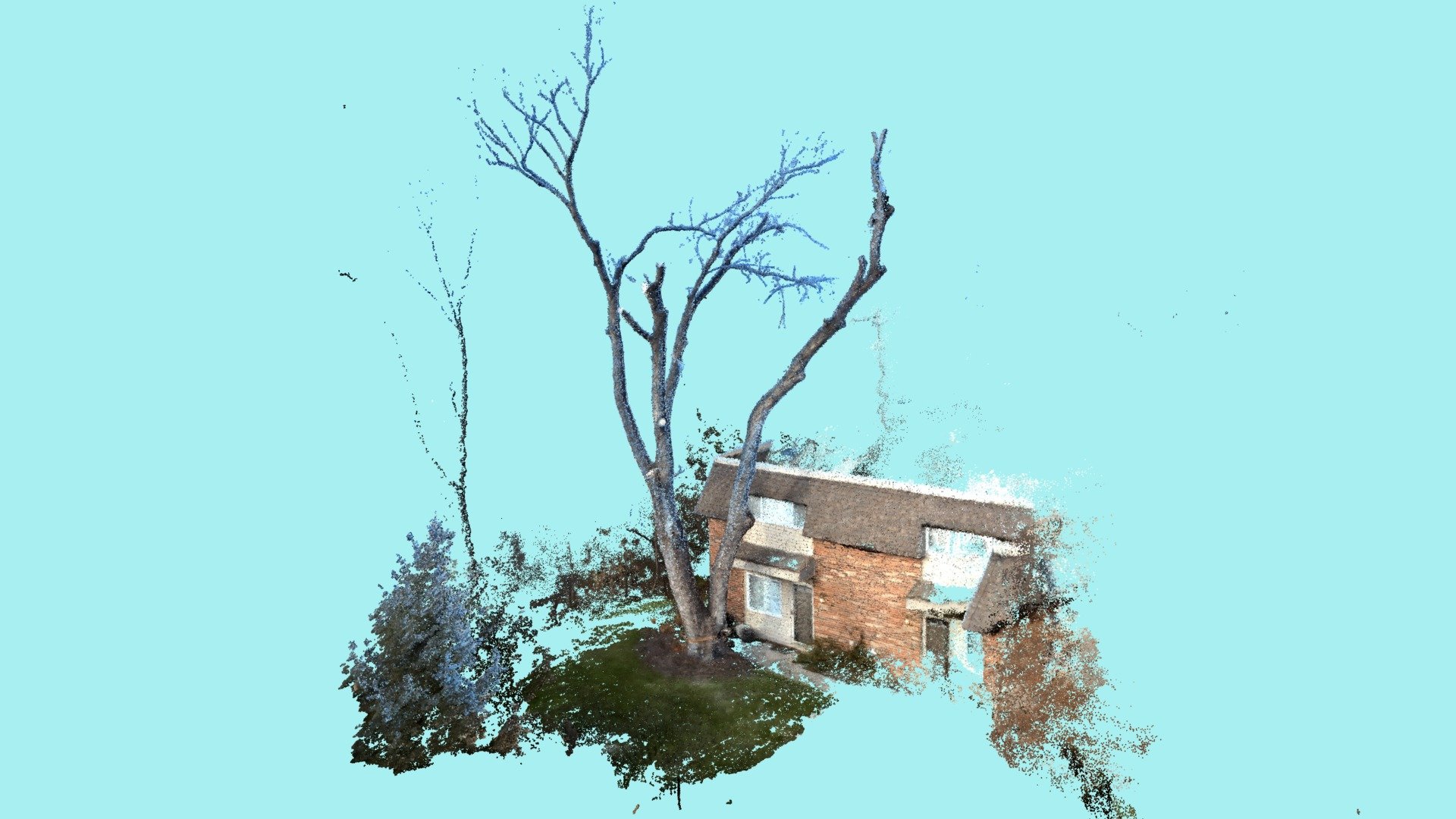 Removal Progress - Download Free 3D model by Aerial Arborist ...