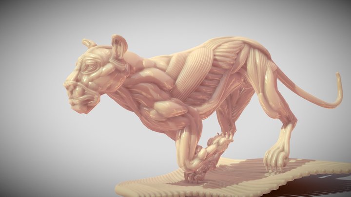 Bumarin 3D models - Sketchfab