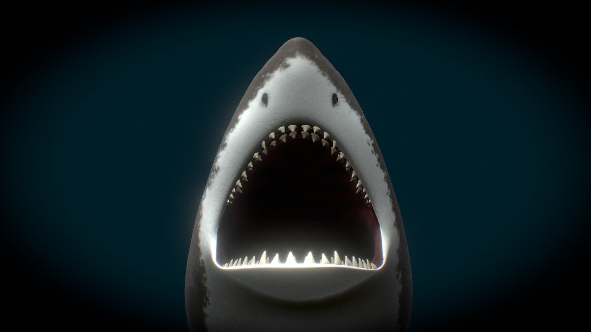 Shark - Download Free 3D model by Cyber Kriss (@CyberKriss) [256bcce ...