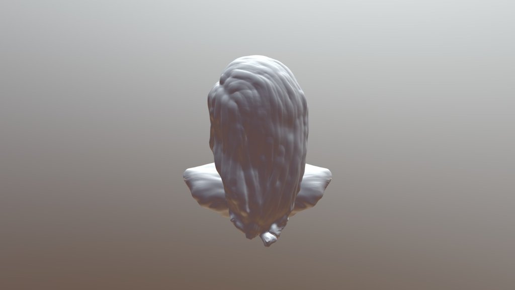 Skia - 3D model by Caleb Mcintyre (@LoneHusky) [2573461] - Sketchfab