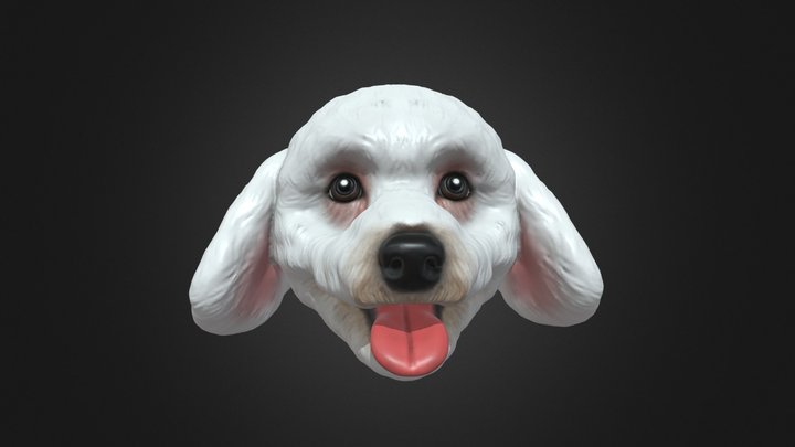 Poodle 3D models - Sketchfab