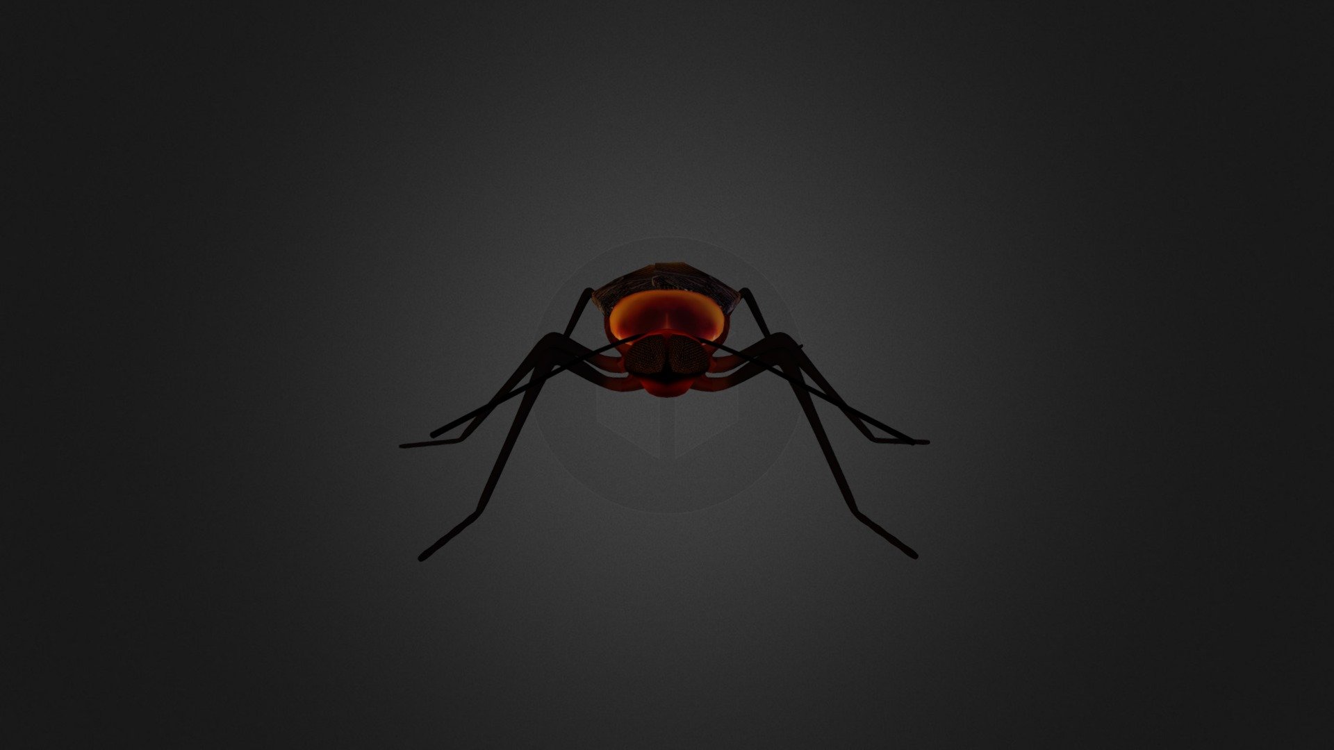Cockroach - 3D model by prasaduchil007 [25a5665] - Sketchfab