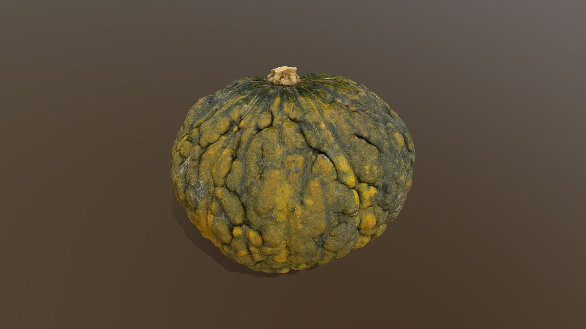 Shiatsu squash - 3D model by Specimen 3D (@specimen3d) [25b0d2f ...