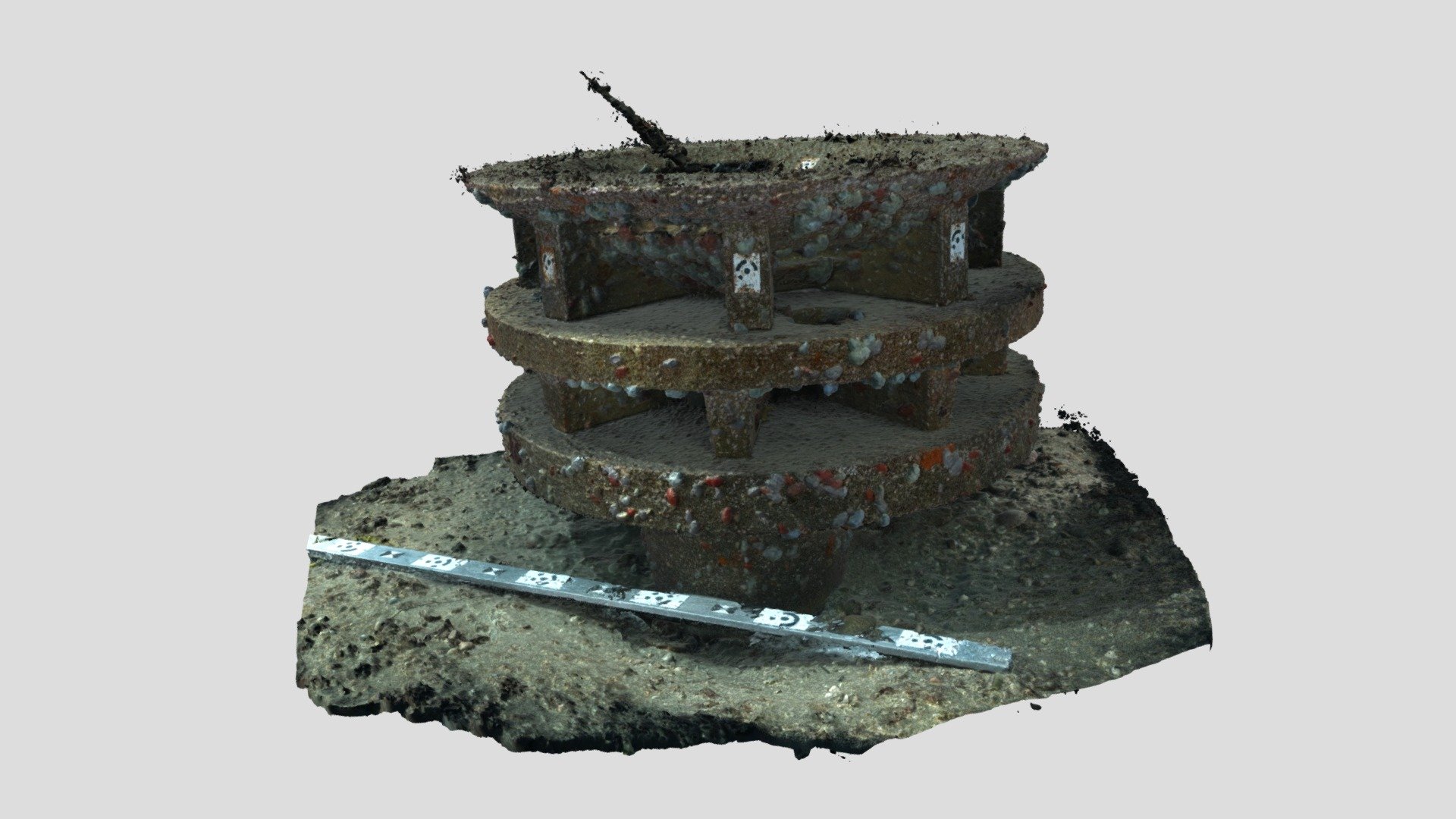 Récif 1-12 Septembre 2022 Récif Goëlo - 3D model by Muséum National d ...