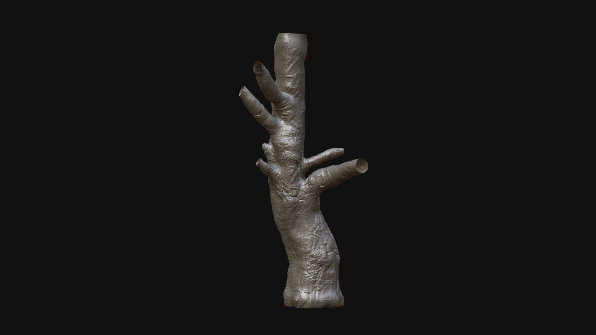 Tree Trunk 01 - 3D model by tomghodder [25b2eb1] - Sketchfab