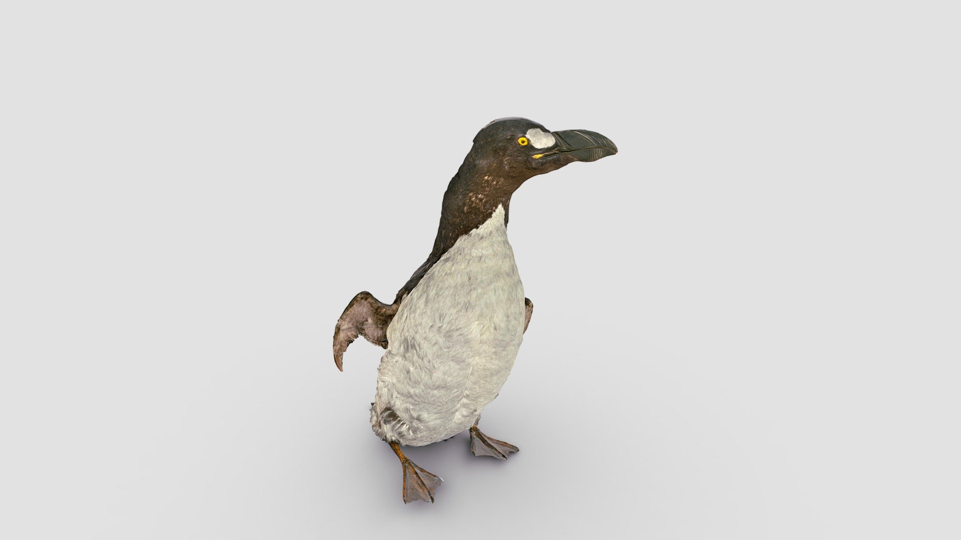 Alka - Download Free 3D model by Fundacja Collect ...