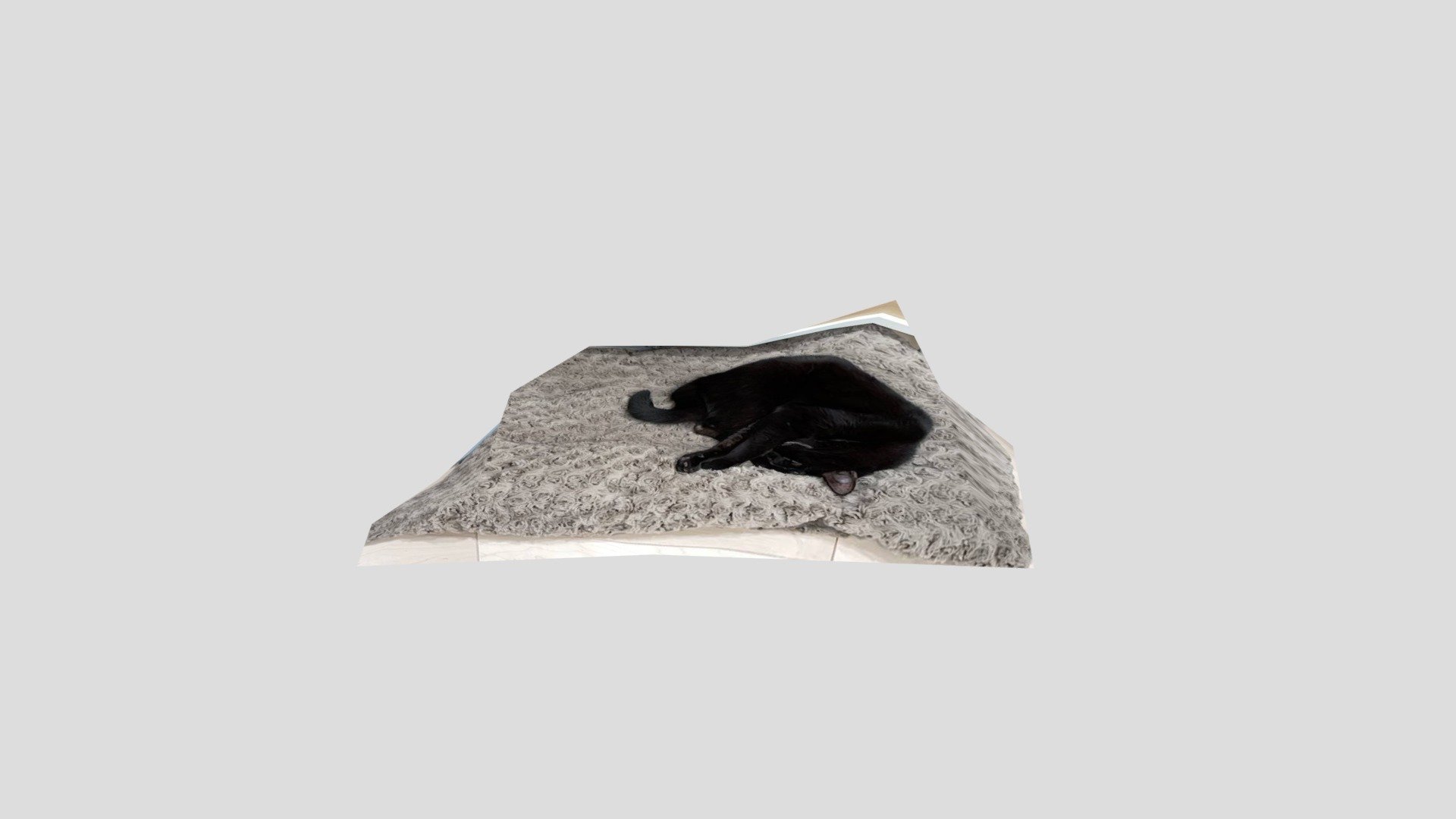 Super low poly cat - Download Free 3D model by Chris Heinrich ...