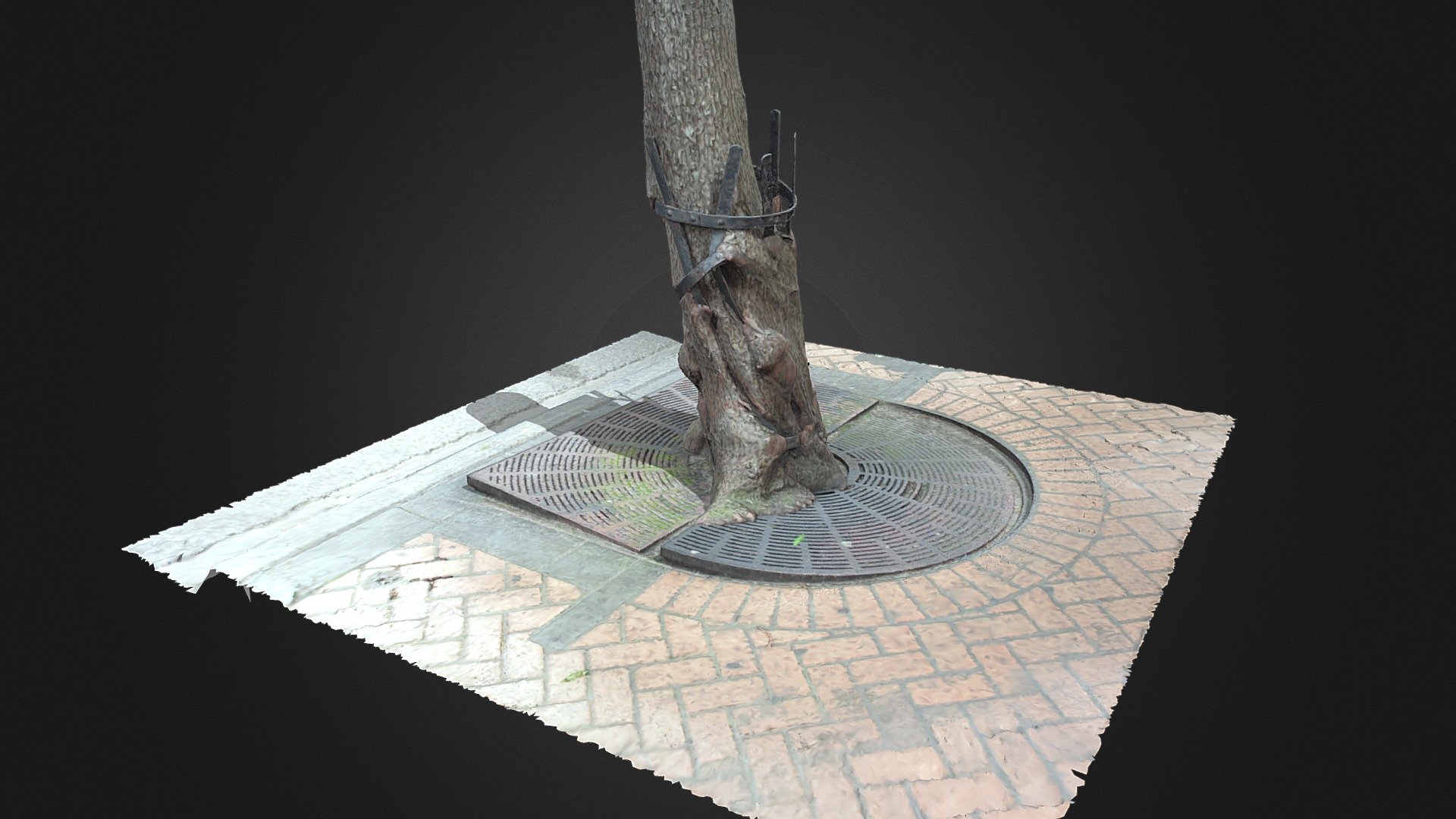 Caged Tree 2 - New Orleans - Download Free 3D model by 3D Scan New ...