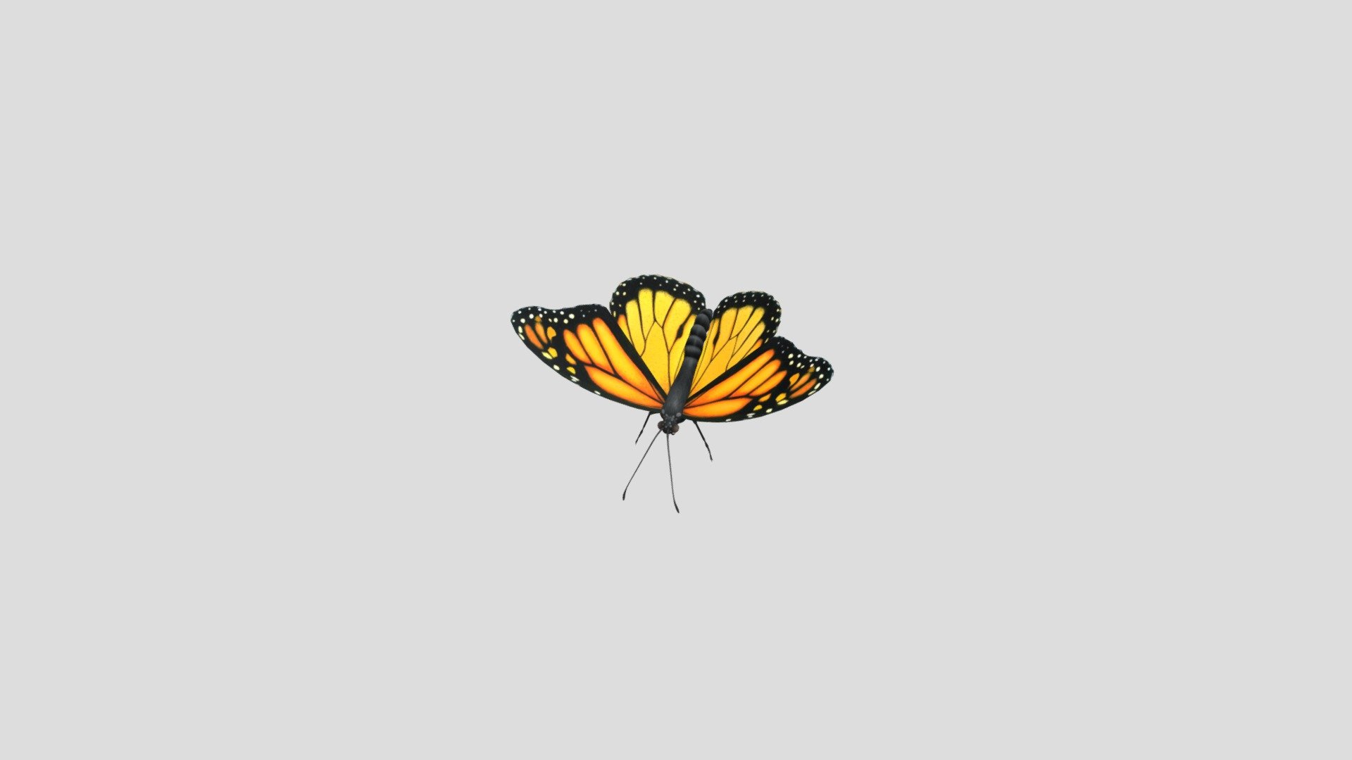 kupu - Download Free 3D model by dhanikhoir27 [25c042a] - Sketchfab