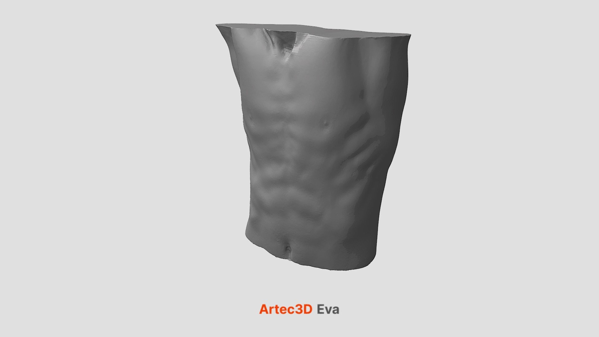 Torso - 3D model by Artec 3D [25cfec4] - Sketchfab