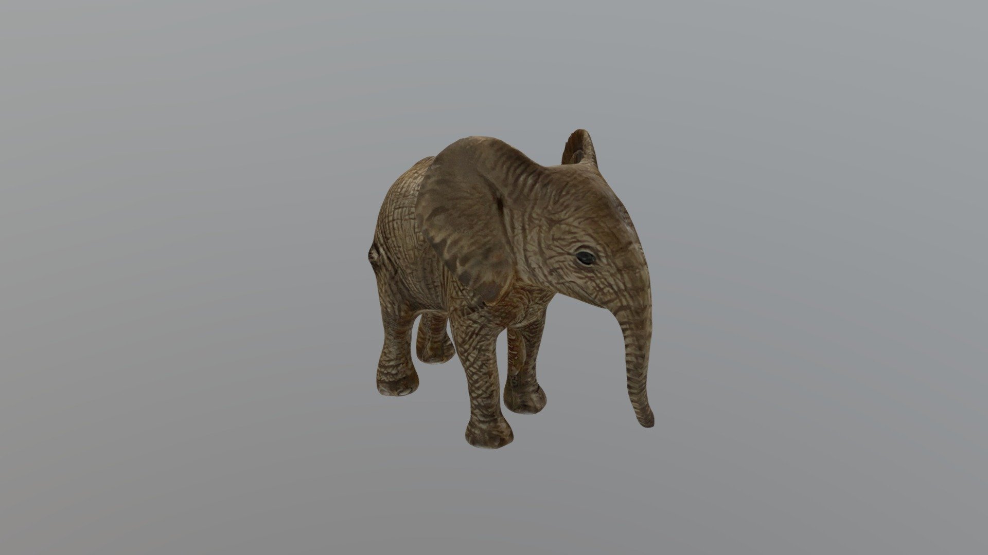 Elephant - Download Free 3D model by paramapornk [25d0121] - Sketchfab