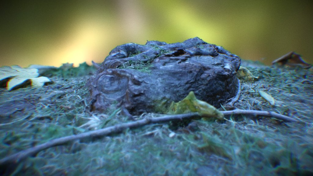 tree root test 01 - 3D model by nickel33 [25d3473] - Sketchfab