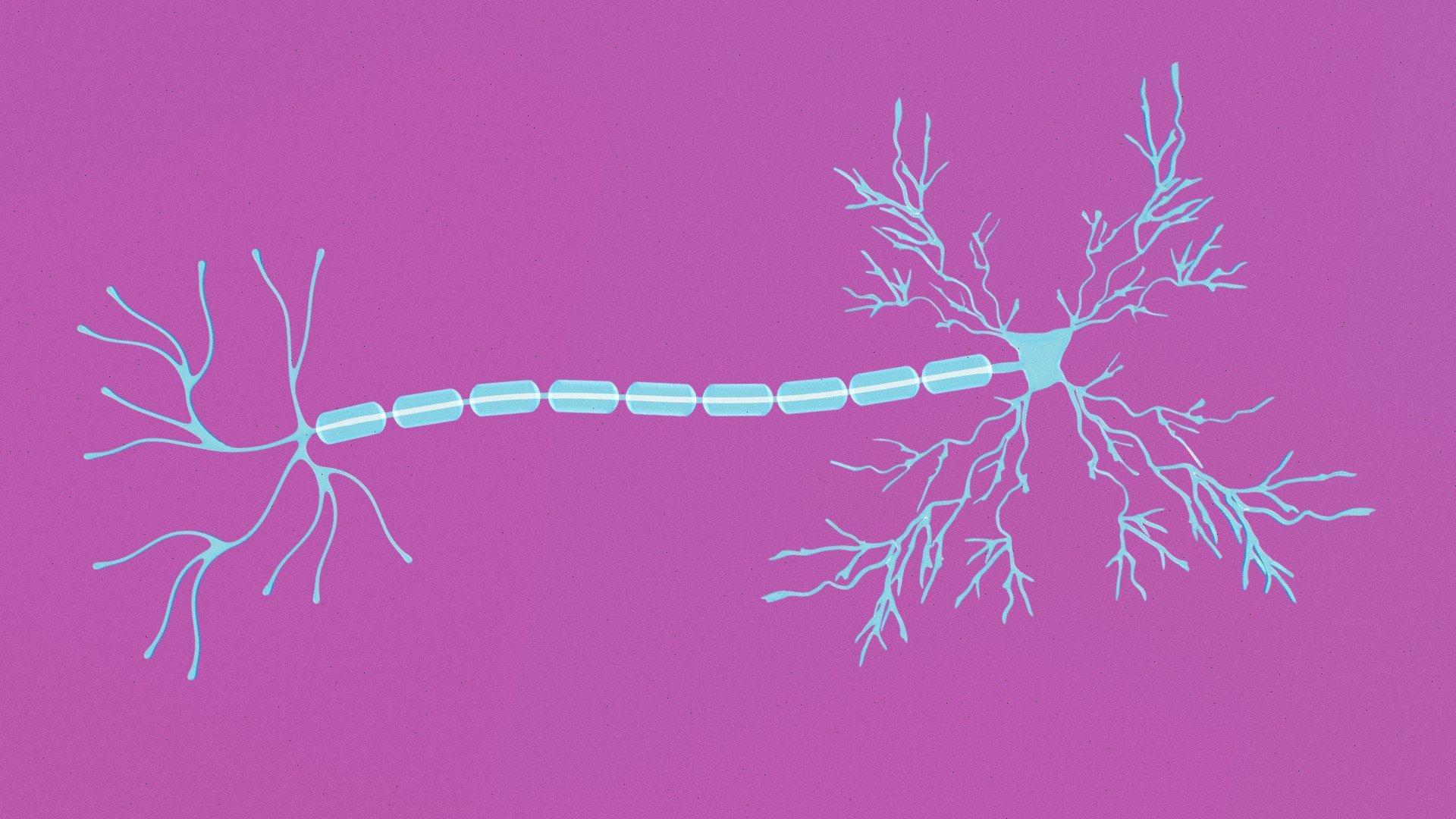 Neuron - Buy Royalty Free 3D model by PARSONSARTS (@tomparsons) [25d6bc6] - Sketchfab Store