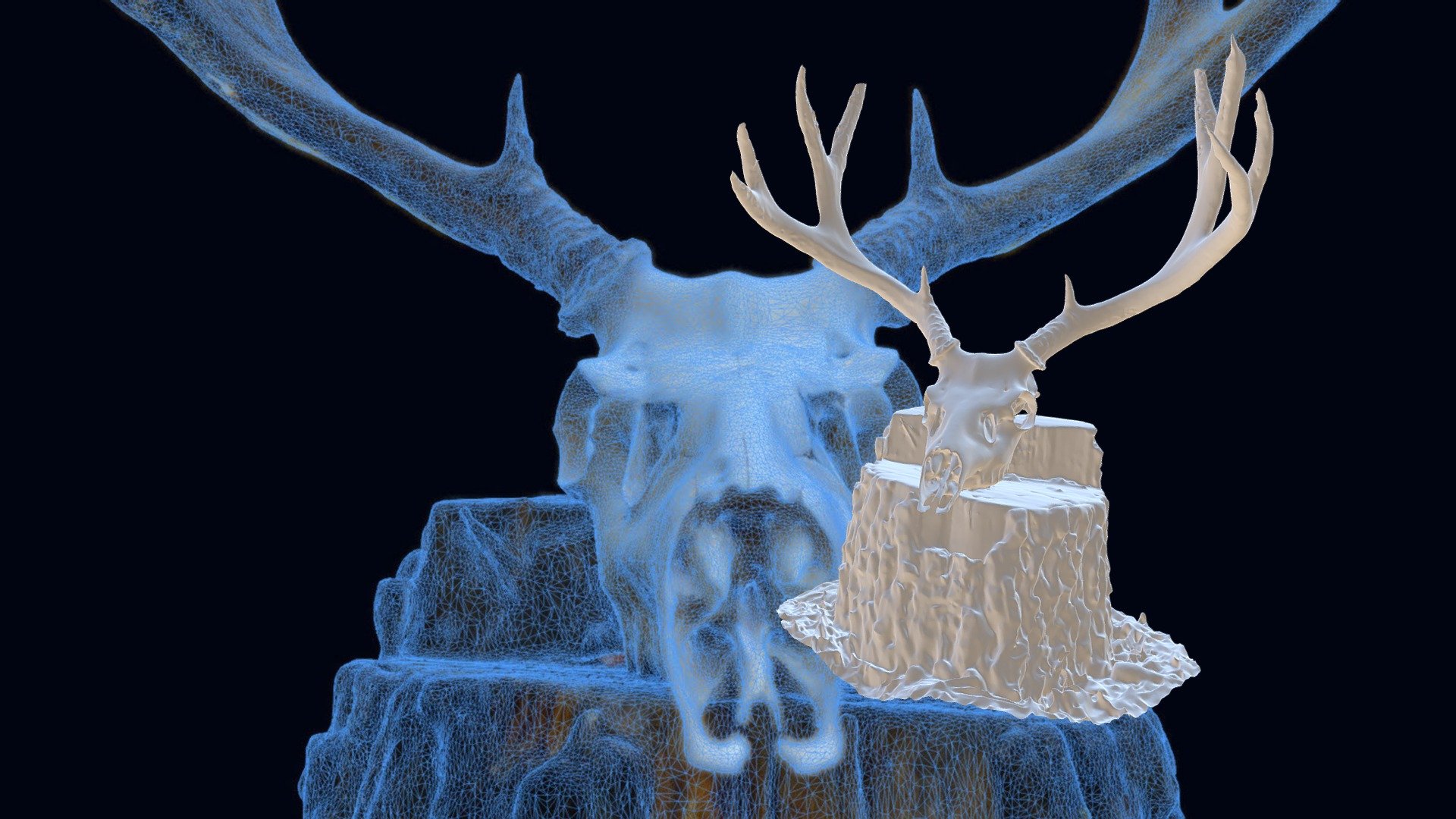 Deer Skull - Download Free 3D model by NORSK 3D (@NORSK_remote_sensing ...
