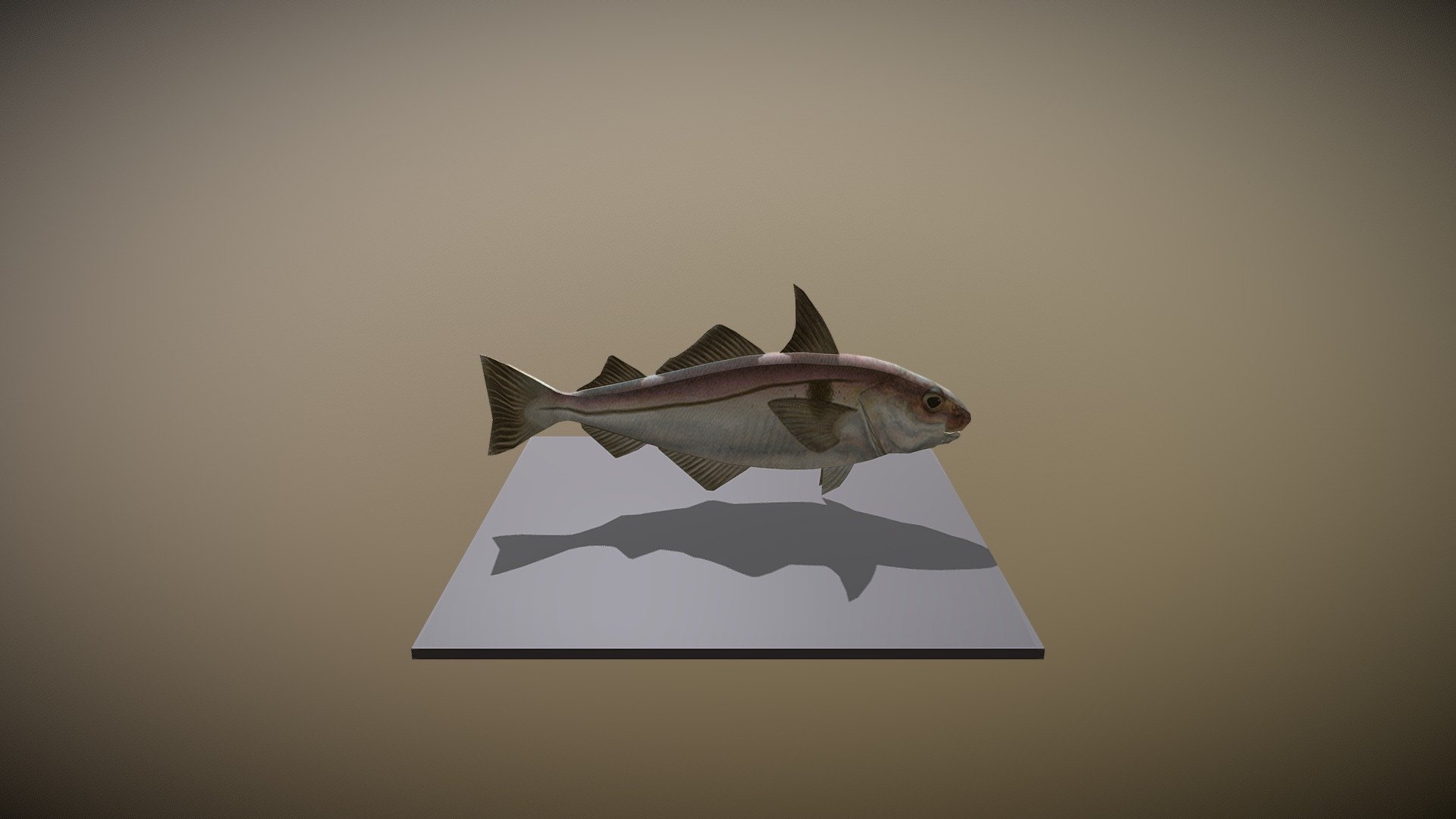 Haddock Fish - 3D model by dapra_96 [25e30d0] - Sketchfab